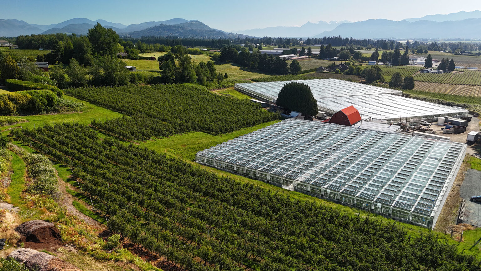Greenhouse Shading - SkyAG Solutions